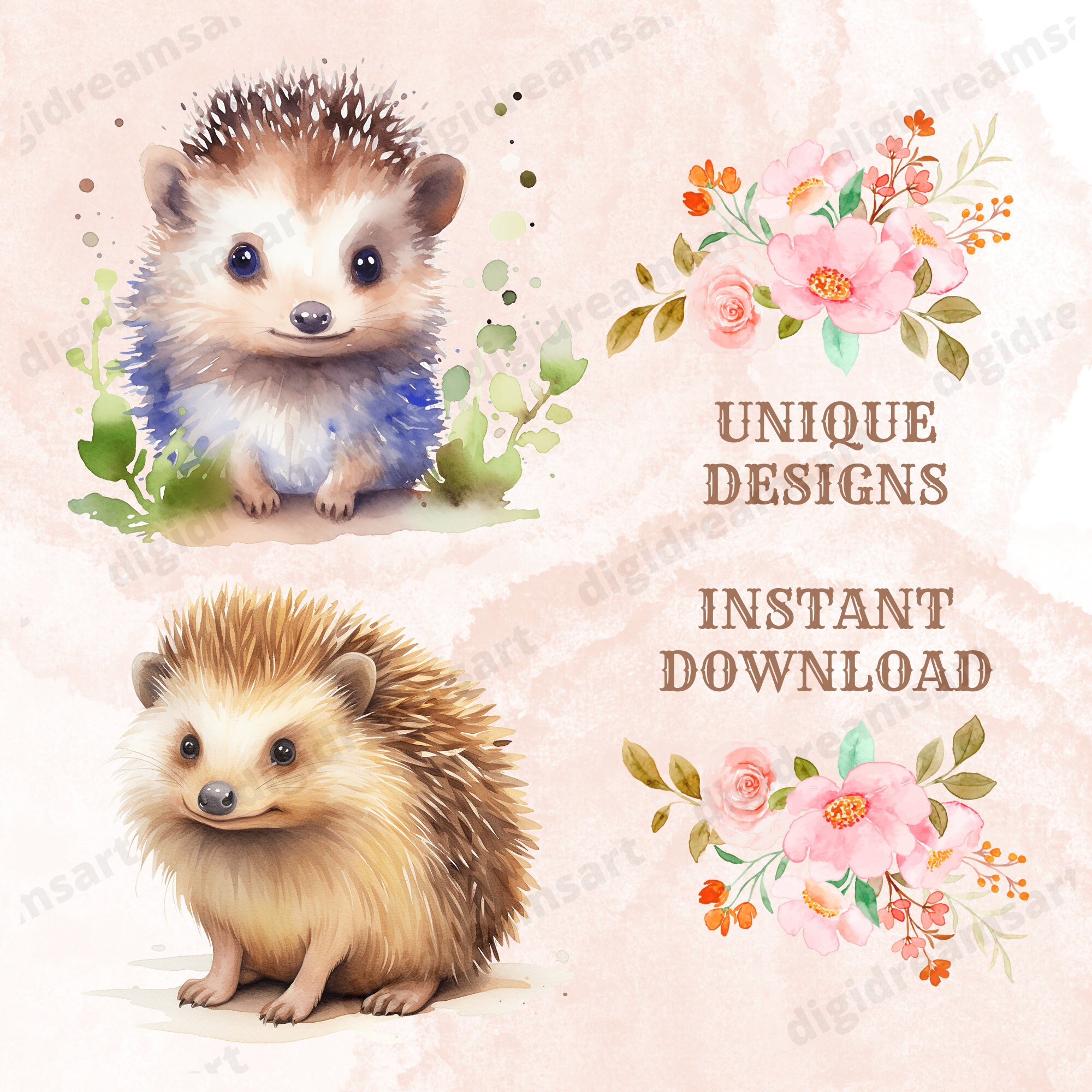 Hedgehog Clipart Bundle Transparent PNG Collection Digital - Etsy