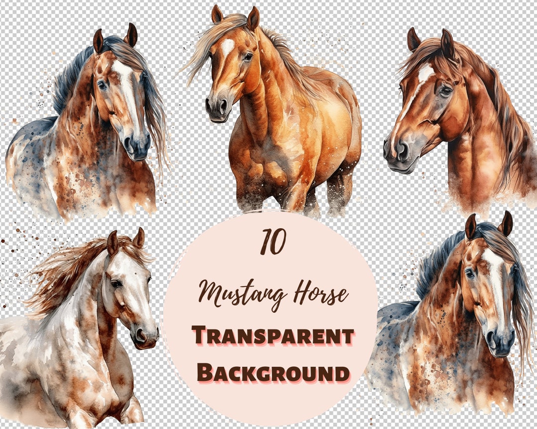 Watercolor Mustang Horse PNG Clipart – Nursery Art (digital Download ...