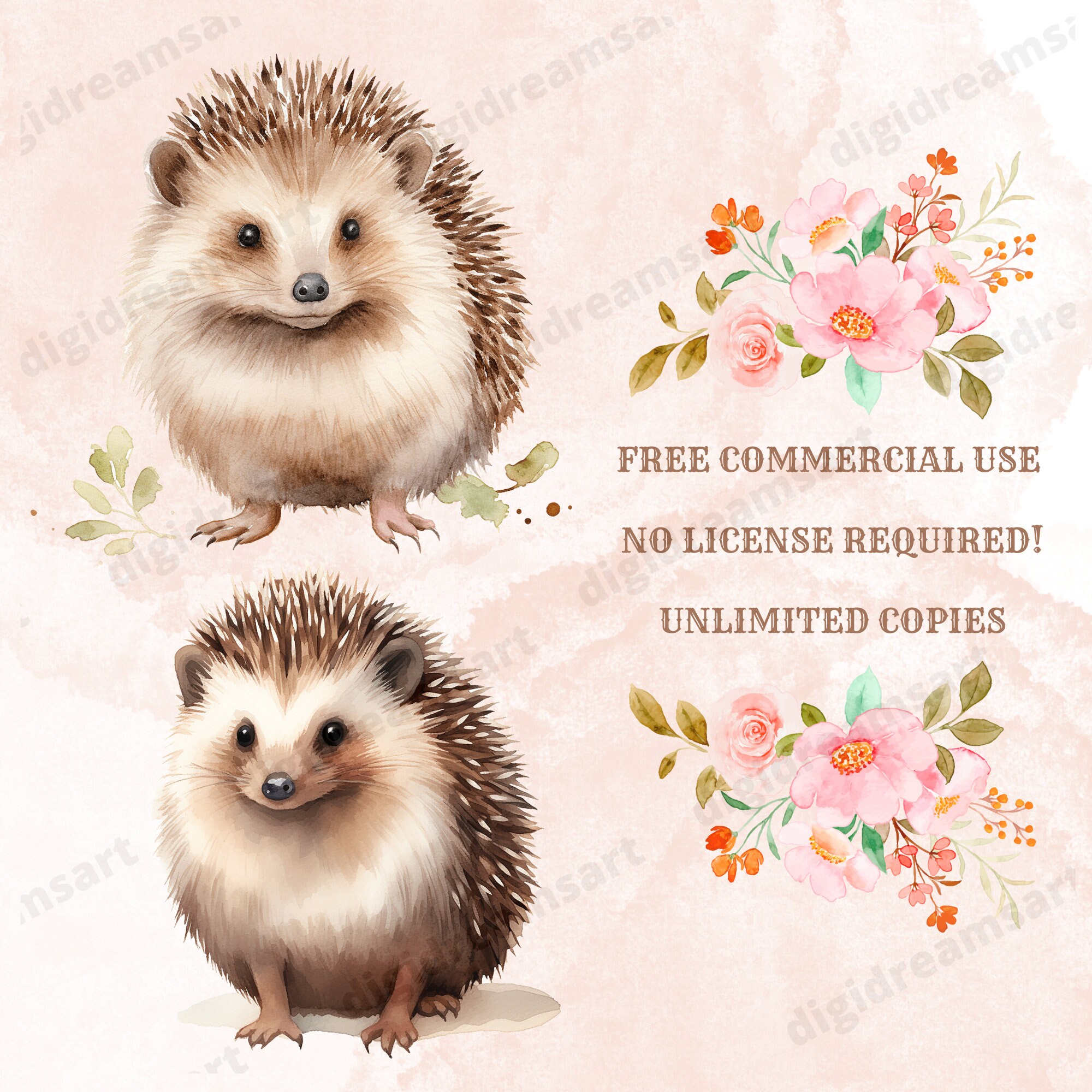 Hedgehog Clipart Bundle Transparent PNG Collection Digital - Etsy
