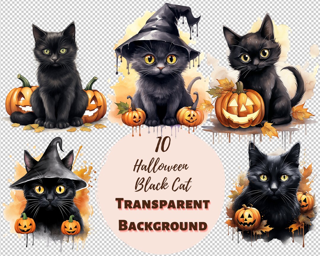 Halloween Black Cat Clipart Bundle Transparent PNG Collection ...