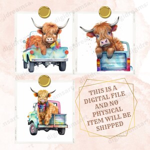 Highland Cow Mega Bundle: Cute Clipart, Digital Prints, and T-shirt ...