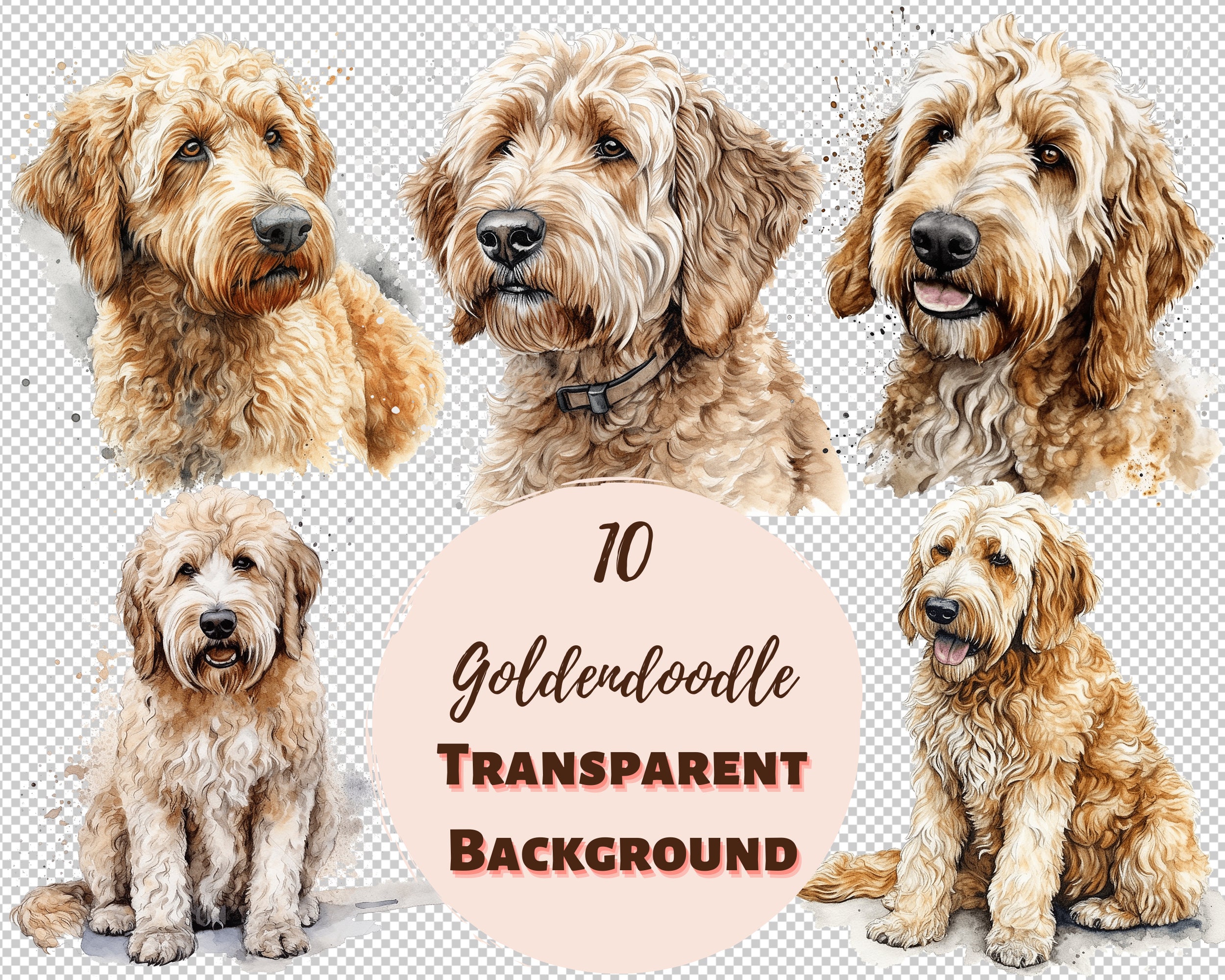 Goldendoodle Clipart Image For Cartoon Character, 44% OFF