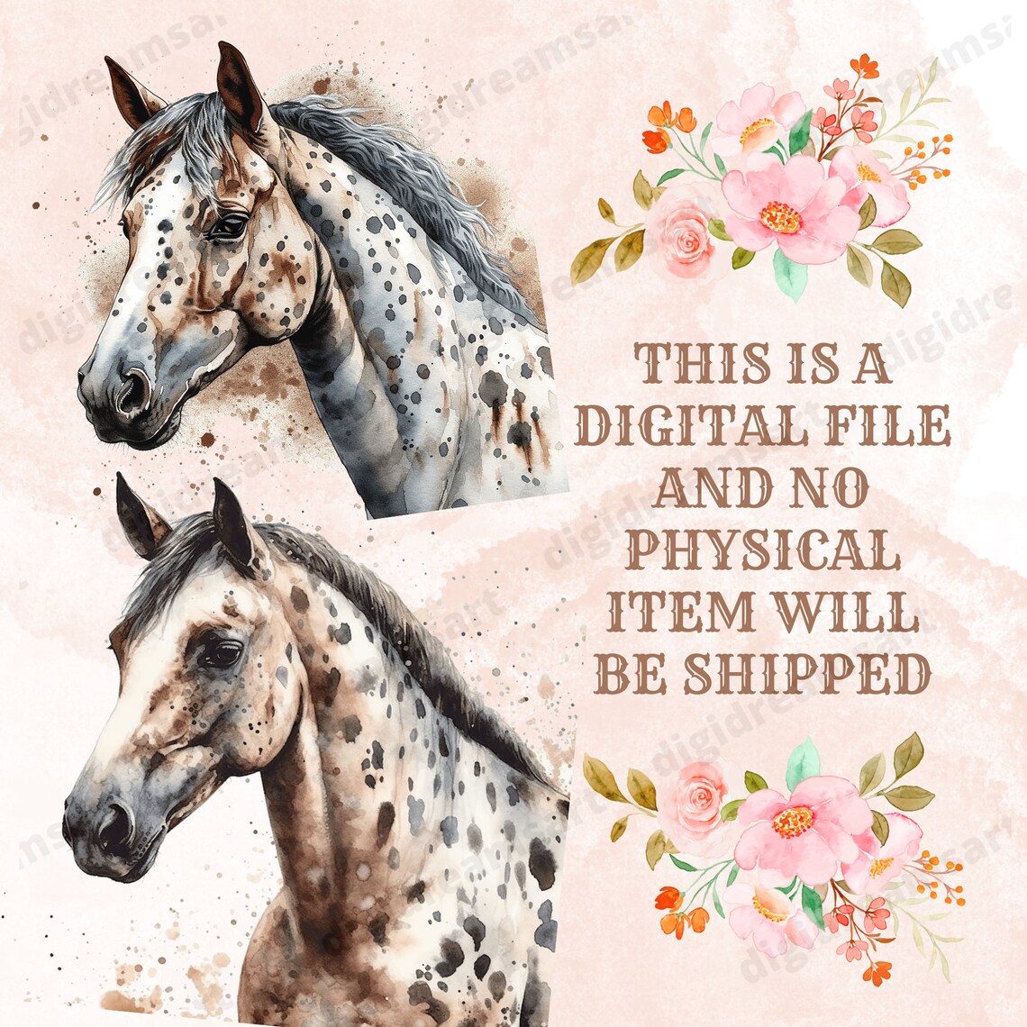 Appaloosa Horse Transparent PNG Collection Watercolor - Etsy