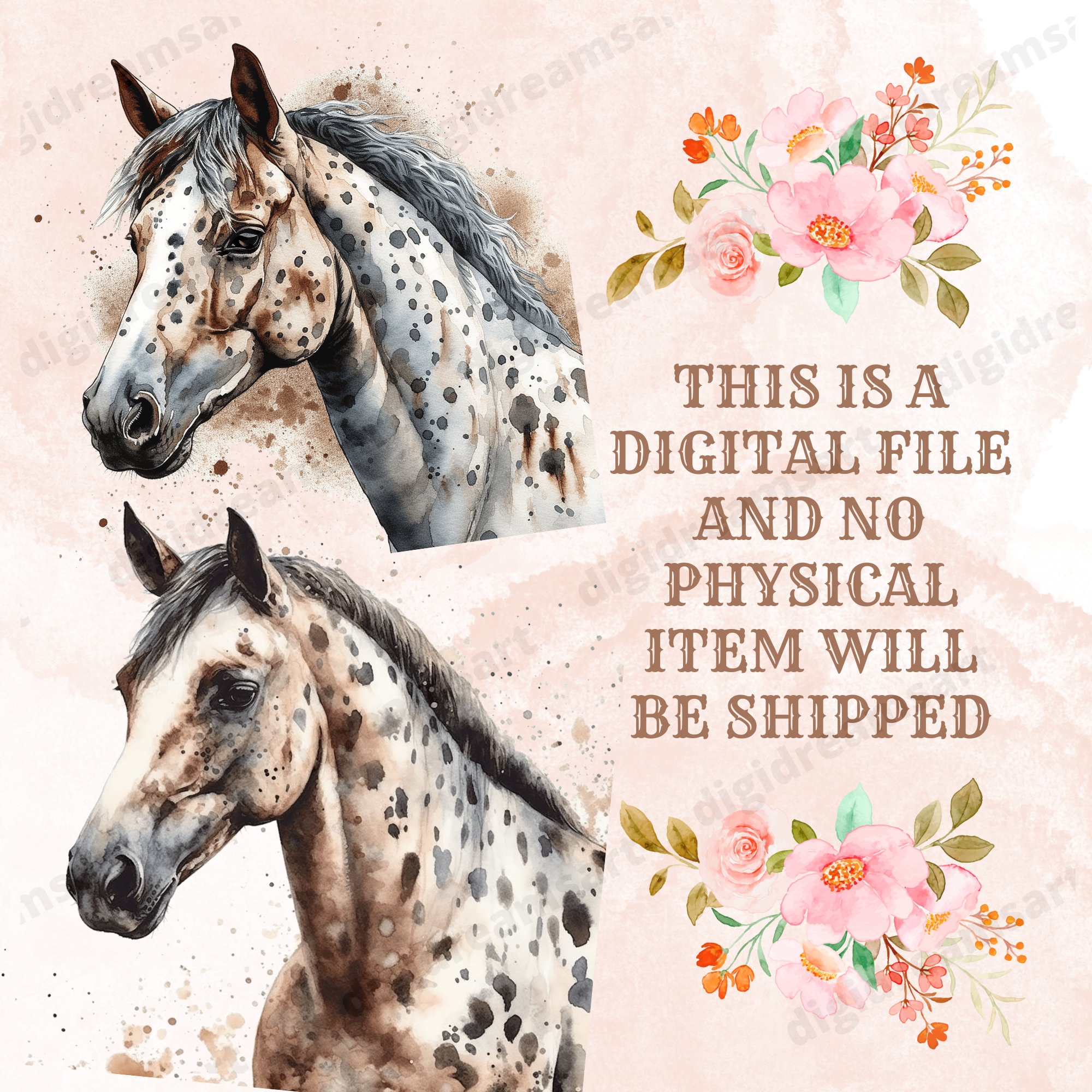 Appaloosa Horse Transparent PNG Collection Watercolor - Etsy