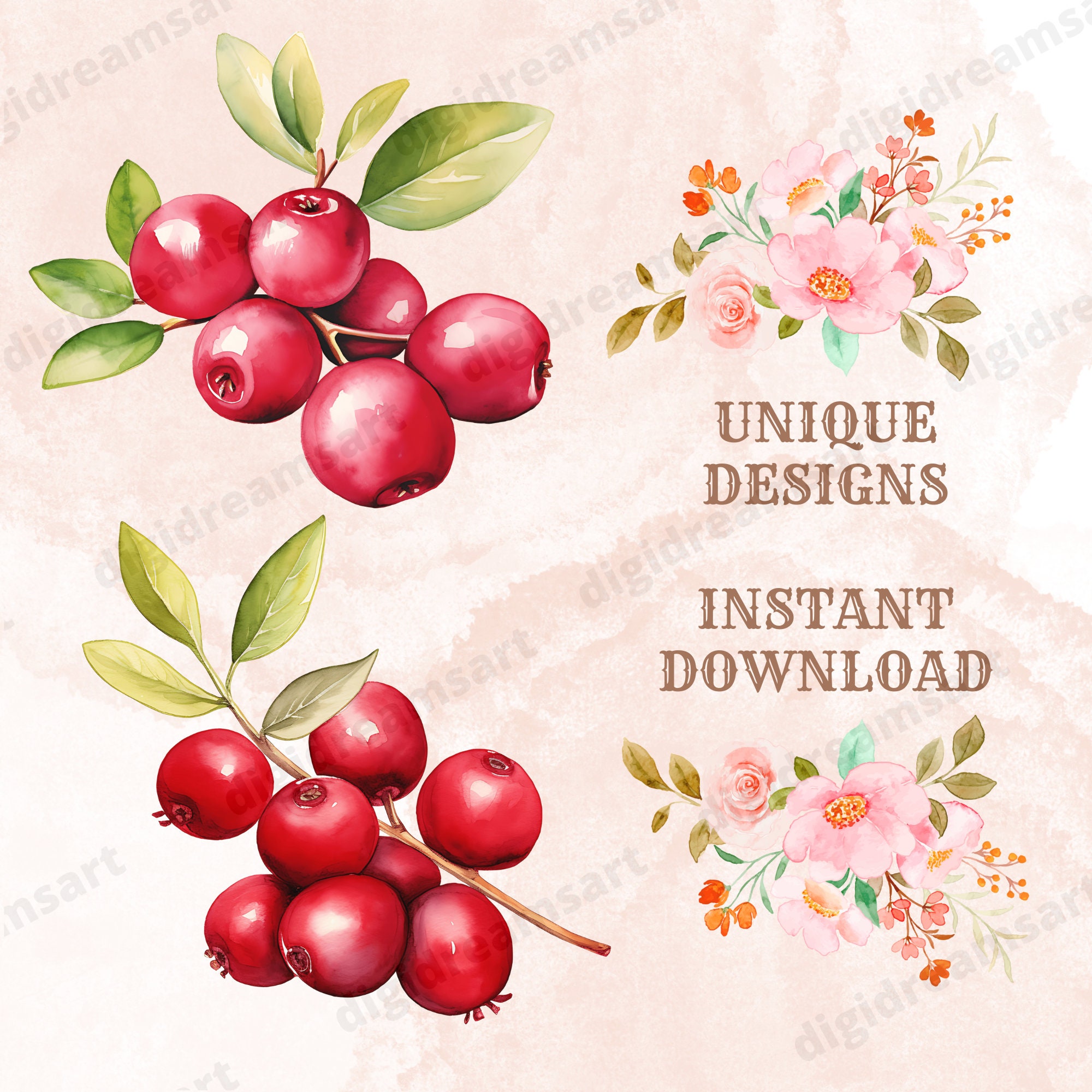 Cranberry Clipart Bundle Transparent PNG Collection, Watercolor ...