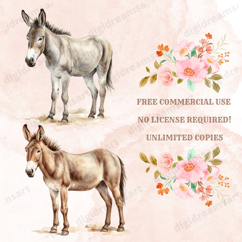 Farm Donkey Clipart Bundle Transparent PNG Collection, Digital Prints ...