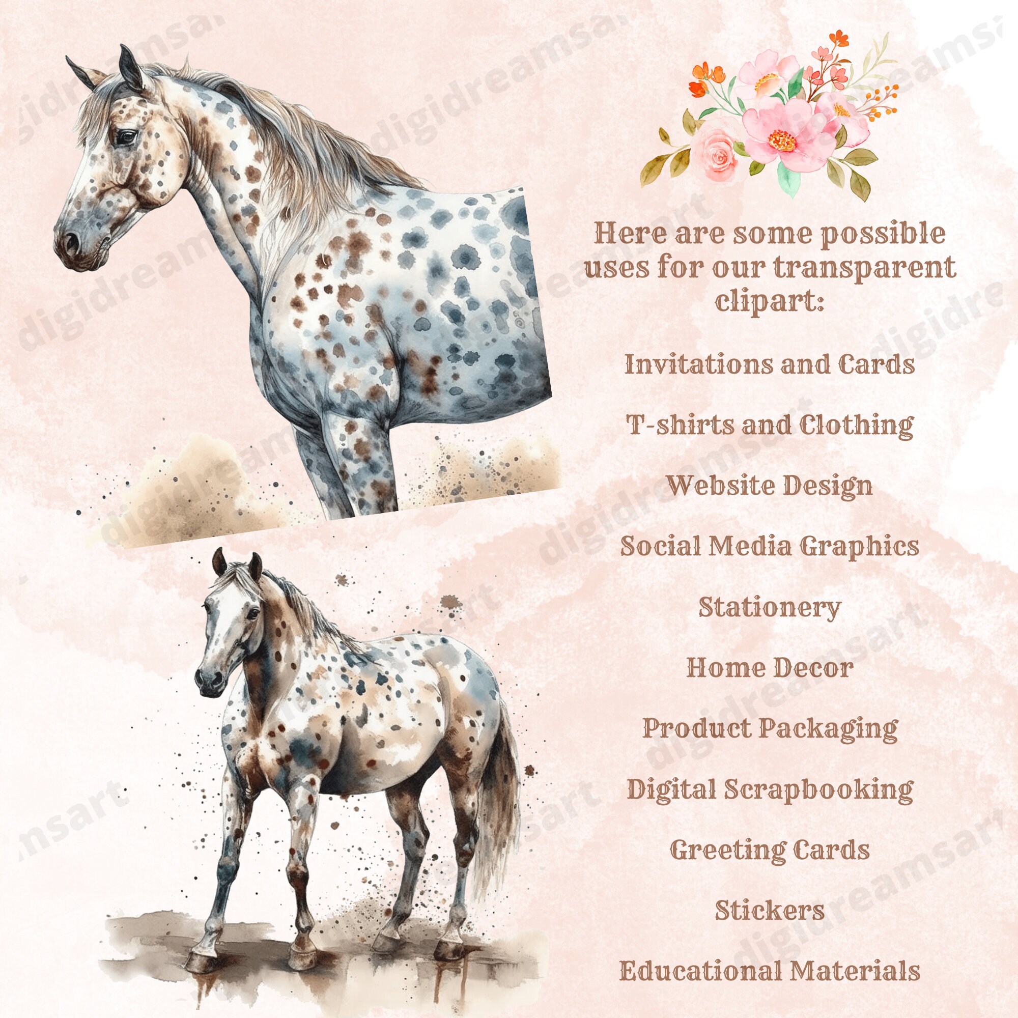 Appaloosa Horse Transparent PNG Collection Watercolor - Etsy
