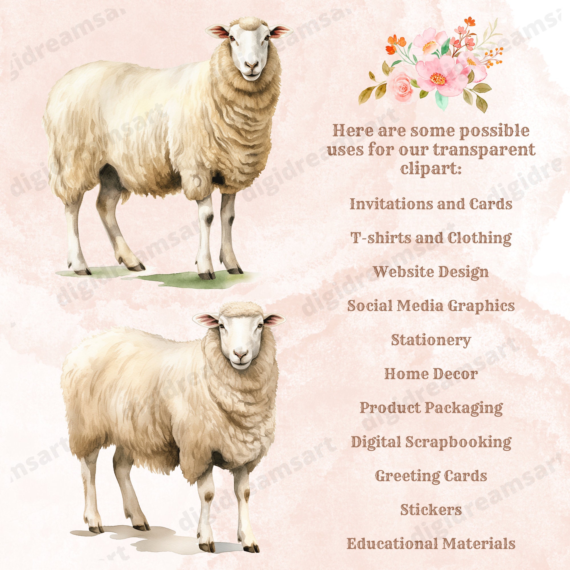 Farm Sheep Clipart Bundle Transparent PNG Collection, Digital Prints ...