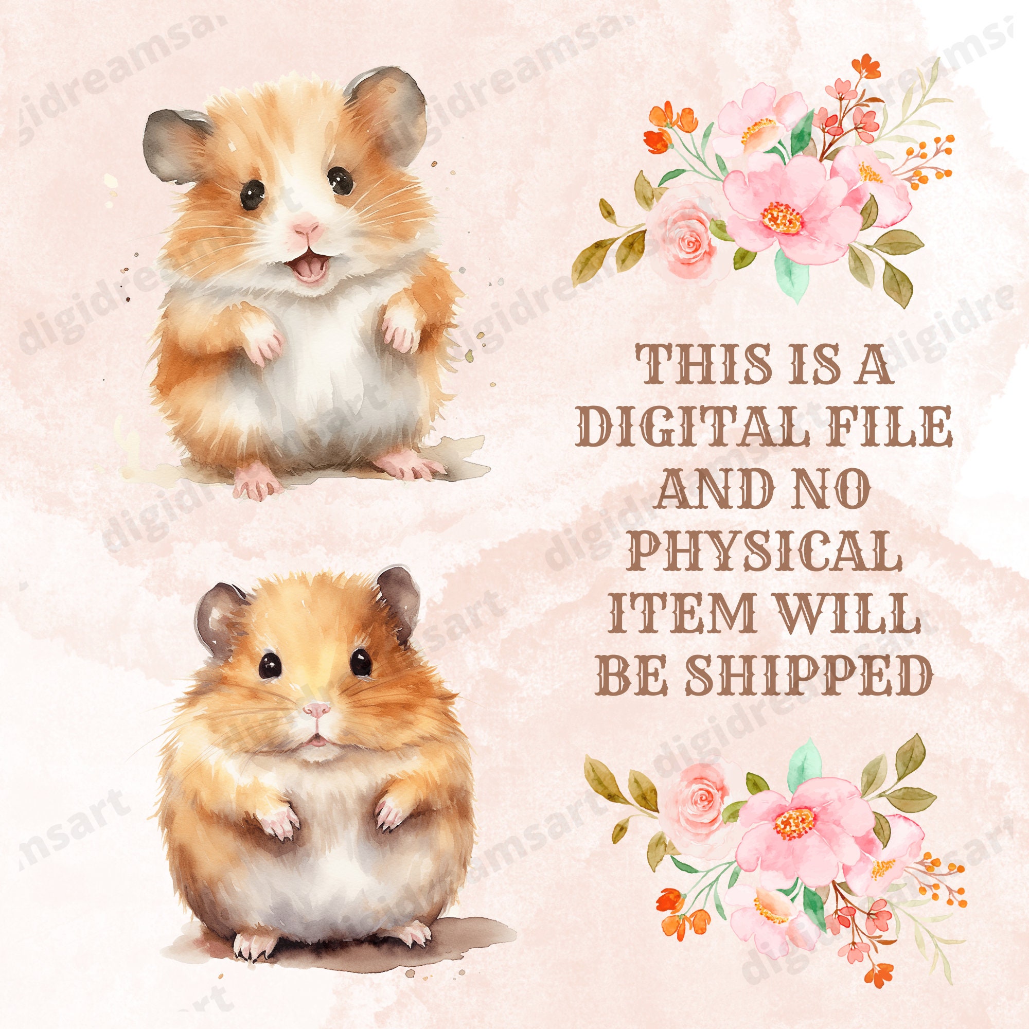 Hamster Clipart Bundle - Transparent PNG Collection, Watercolor ...