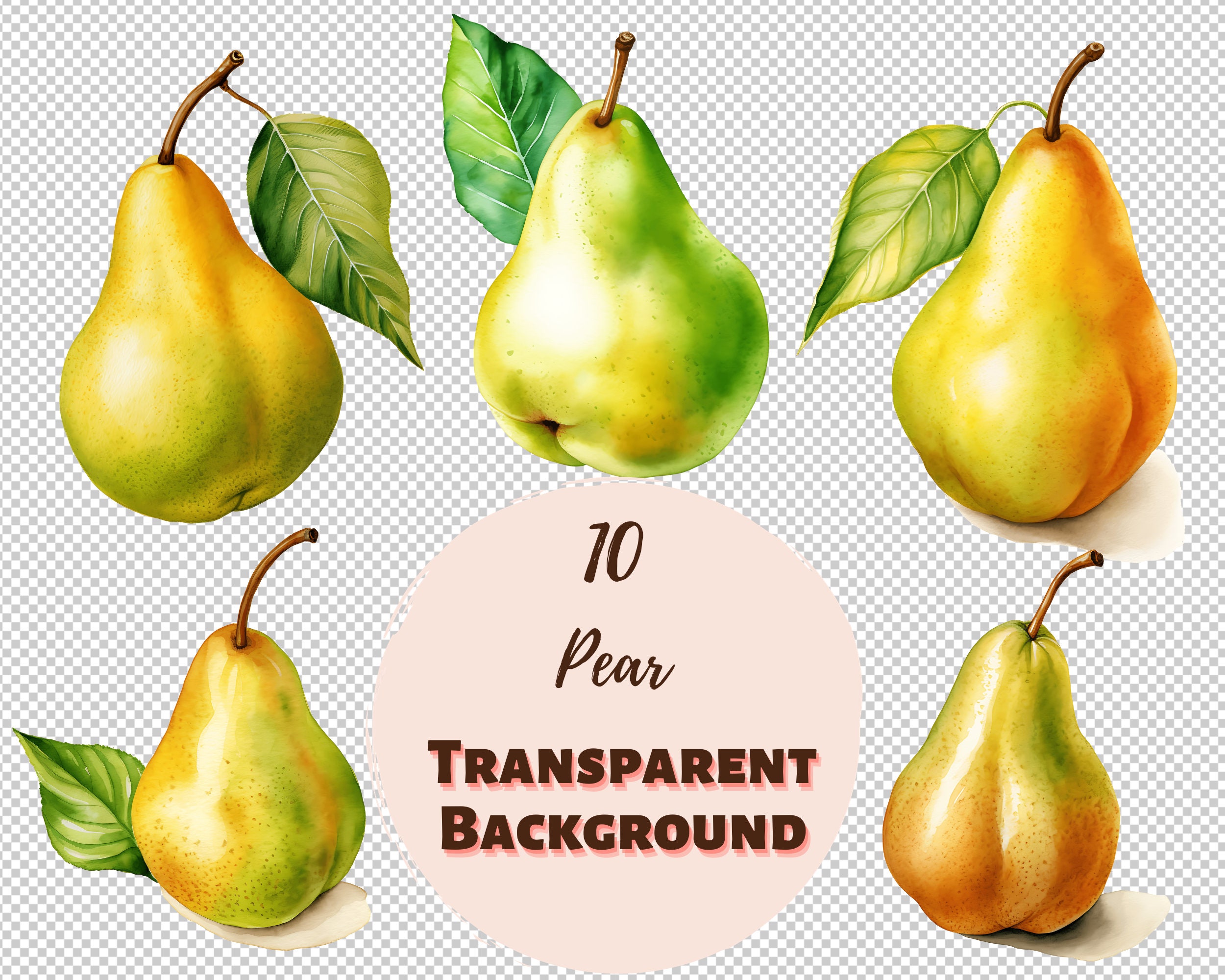 Pear Clipart Bundle Transparent PNG Collection Watercolor - Etsy