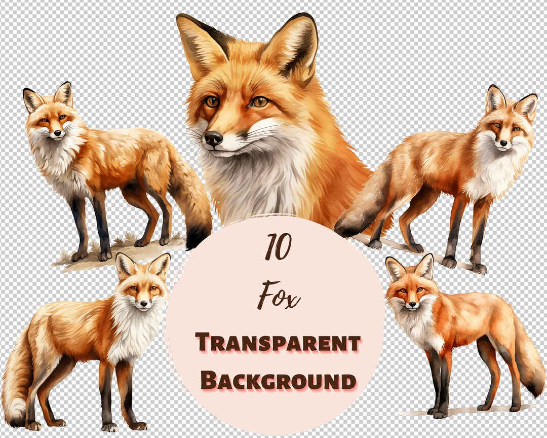 Fox Clipart Bundle - Transparent PNG Collection, Digital Prints ...