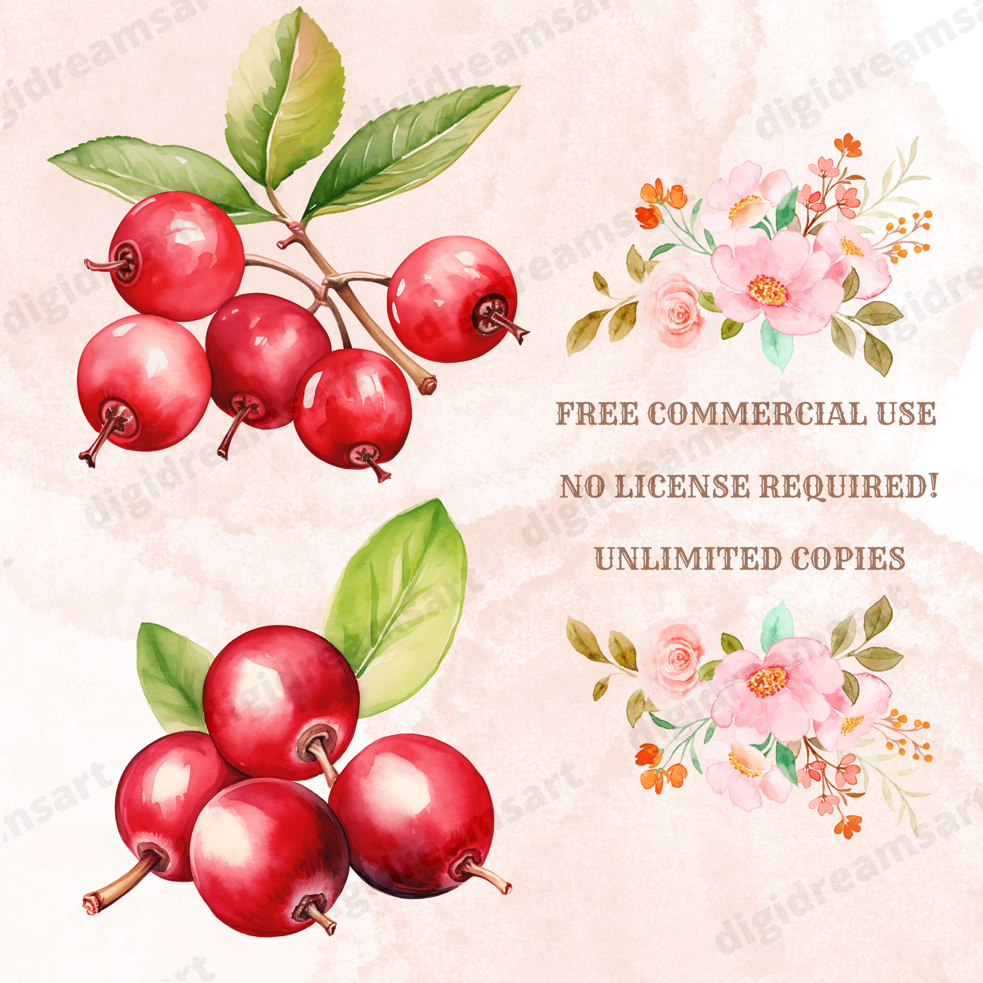 Cranberry Clipart Bundle Transparent PNG Collection, Watercolor ...