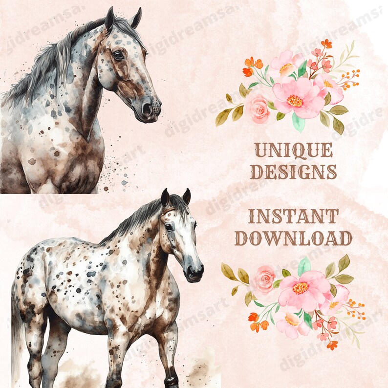 Appaloosa Horse Transparent PNG Collection Watercolor - Etsy
