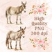 Farm Donkey Clipart Bundle Transparent PNG Collection, Digital Prints ...