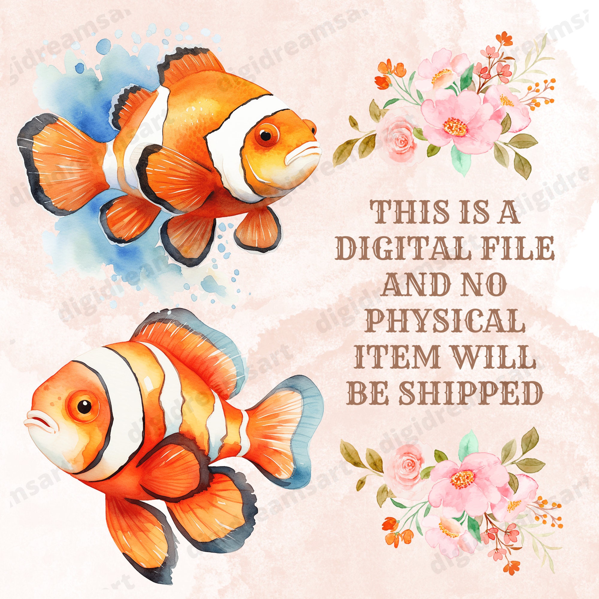 Clownfish, Clipart Bundle Transparent PNG Collection, Digital Prints ...