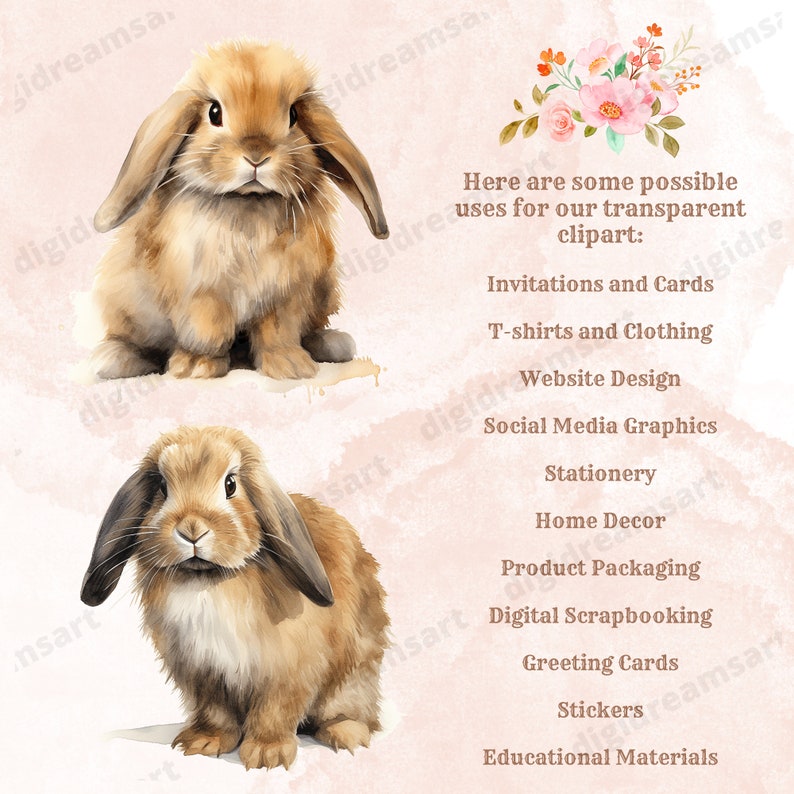 American Fuzzy Lop Rabbit Clipart Bundle Transparent PNG Collection ...