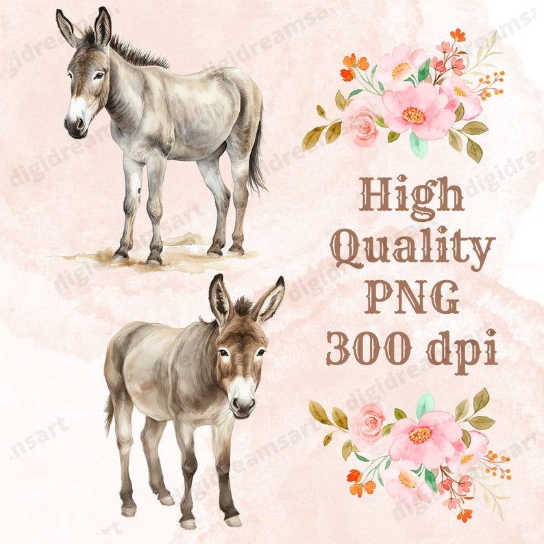 Farm Animals Mega Bundle 50 PNG Clipart Images Transparent - Etsy