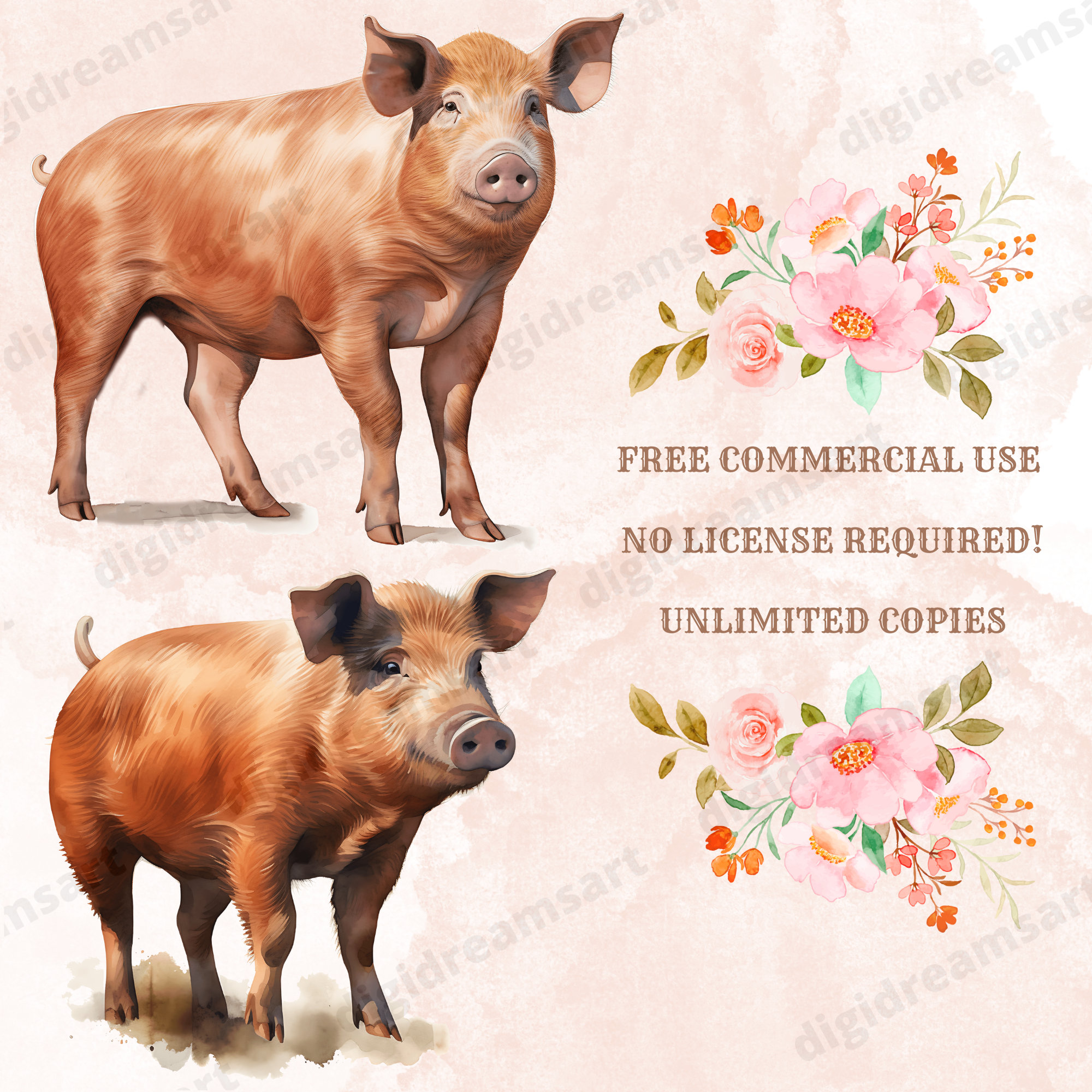 4-H Show Duroc Pig Clipart Bundle Transparent PNG Collection, Digital ...