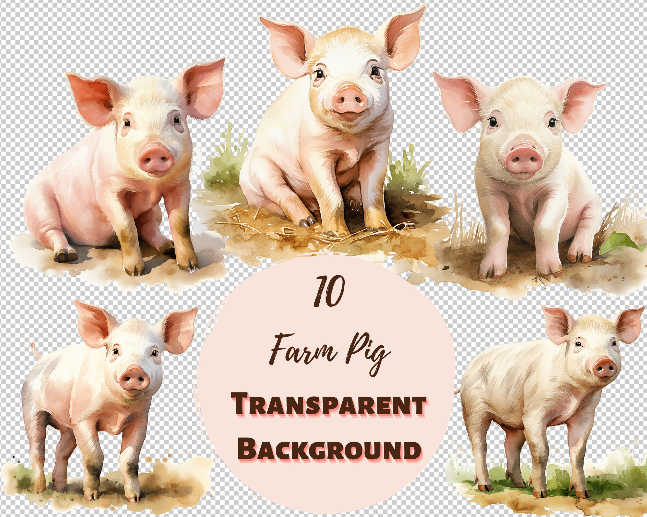 Farm Pig Clipart Bundle Transparent PNG Collection, Digital Prints ...