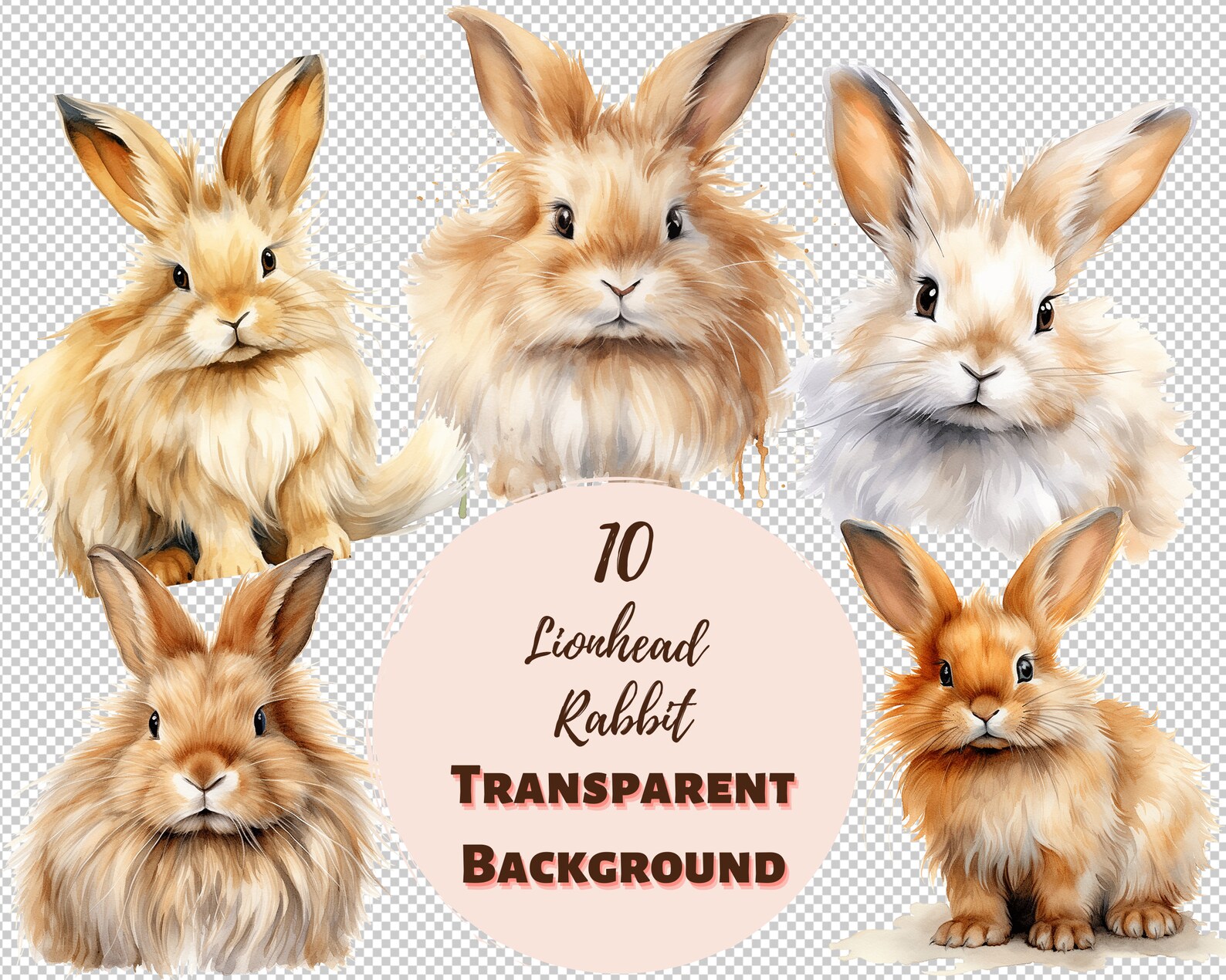 Lionhead Rabbit Clipart Bundle Transparent PNG Collection - Etsy