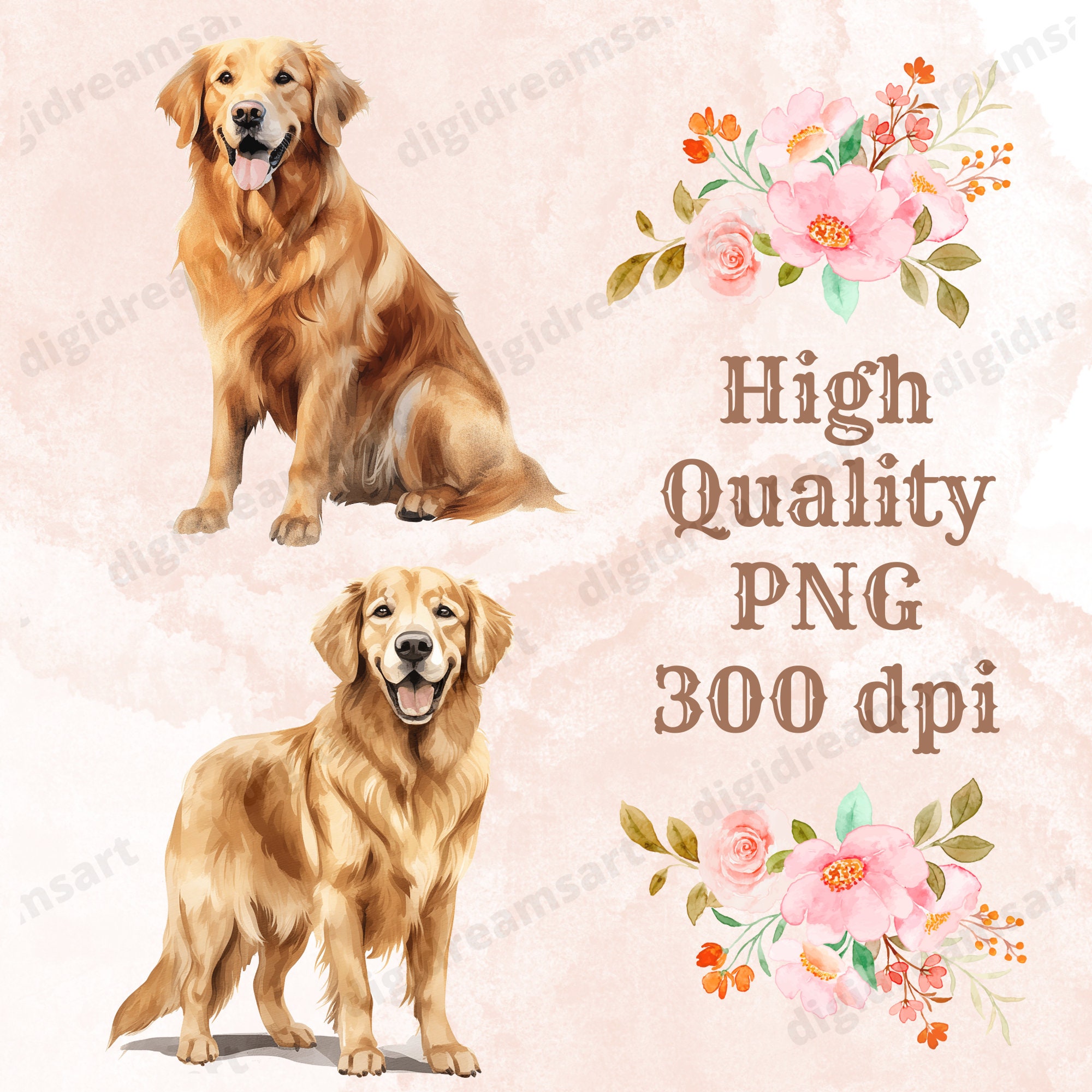 Golden Retriever Clipart Bundle Transparent PNG Collection - Etsy