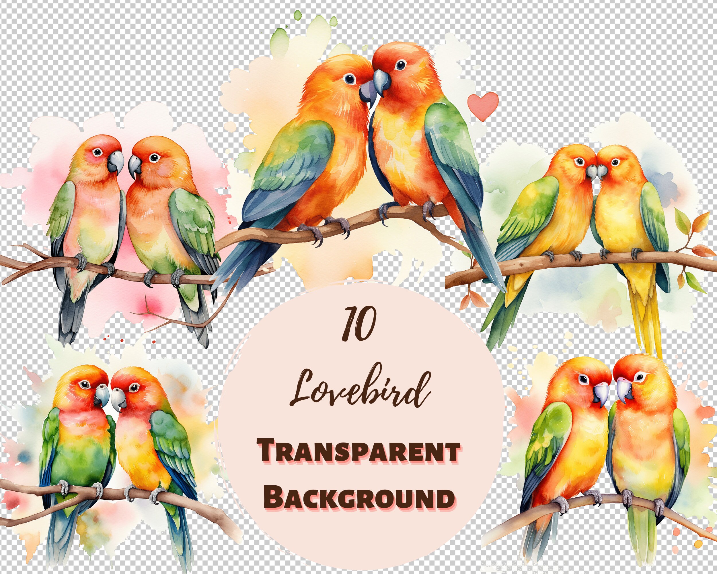 Lovebird Clipart Bundle Transparent PNG Collection, Watercolor Graphics ...