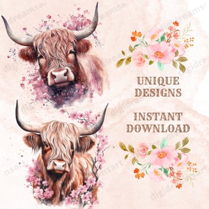 Highland Cow in Sakura Flowers Design Bundle - PNG Transparent Clipart ...