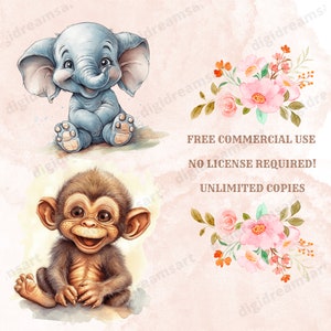 Adorable Safari Baby Animals Clipart Bundle - Transparent PNG ...