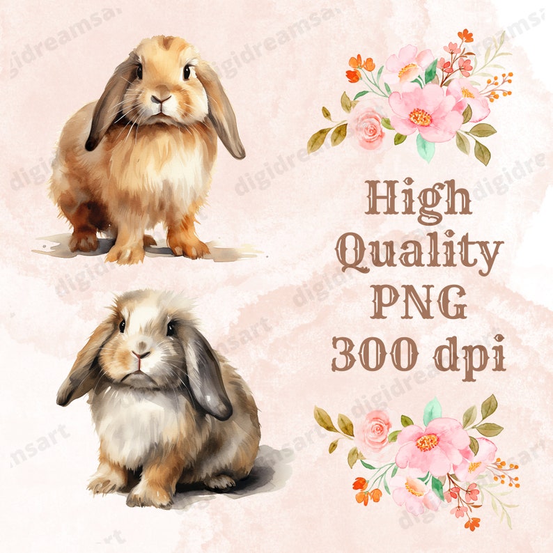 Rabbit Breeds Mega Bundle 50 PNG Clipart Transparent PNG Collection ...