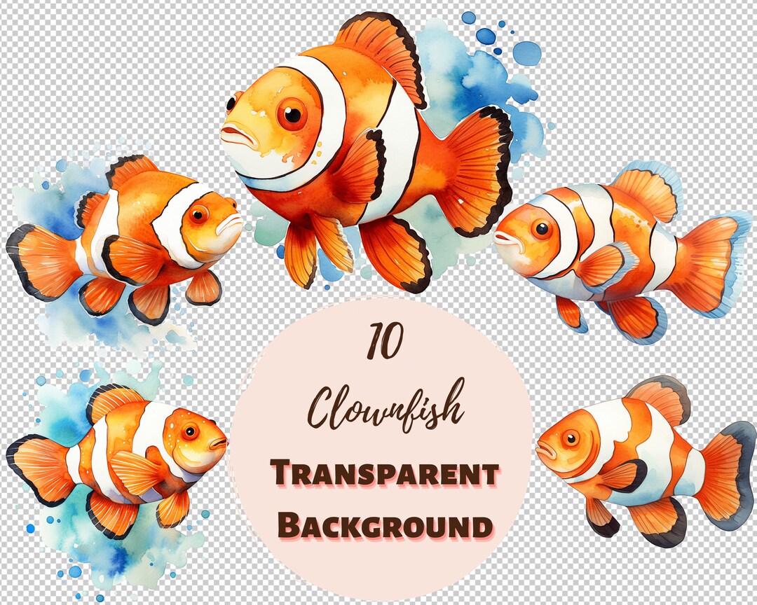 Clownfish, Clipart Bundle Transparent PNG Collection, Digital Prints ...