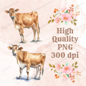 Jersey Cow Clipart Bundle - Transparent PNG Collection, Digital Prints ...