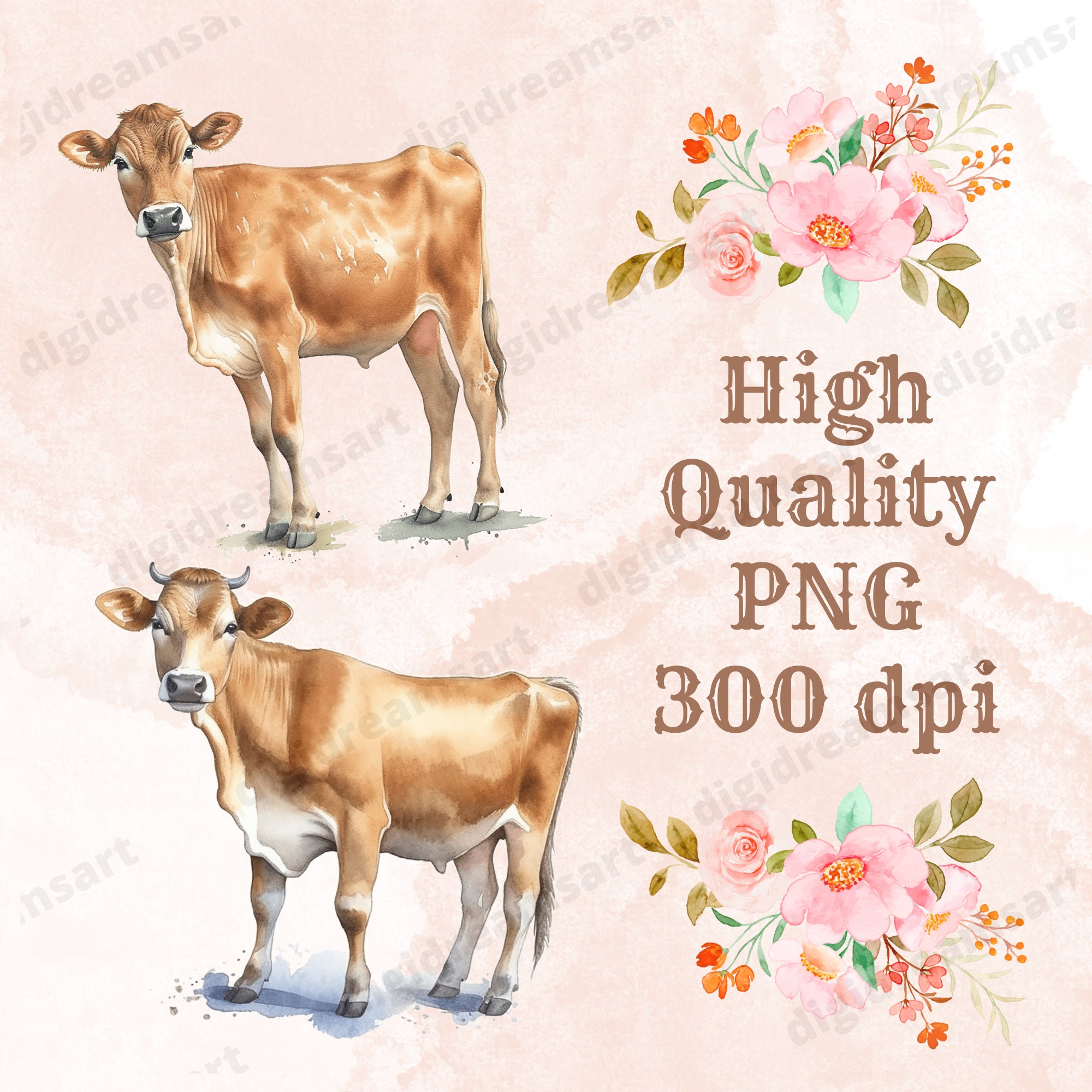 Jersey Cow Clipart Bundle Transparent PNG Collection - Etsy