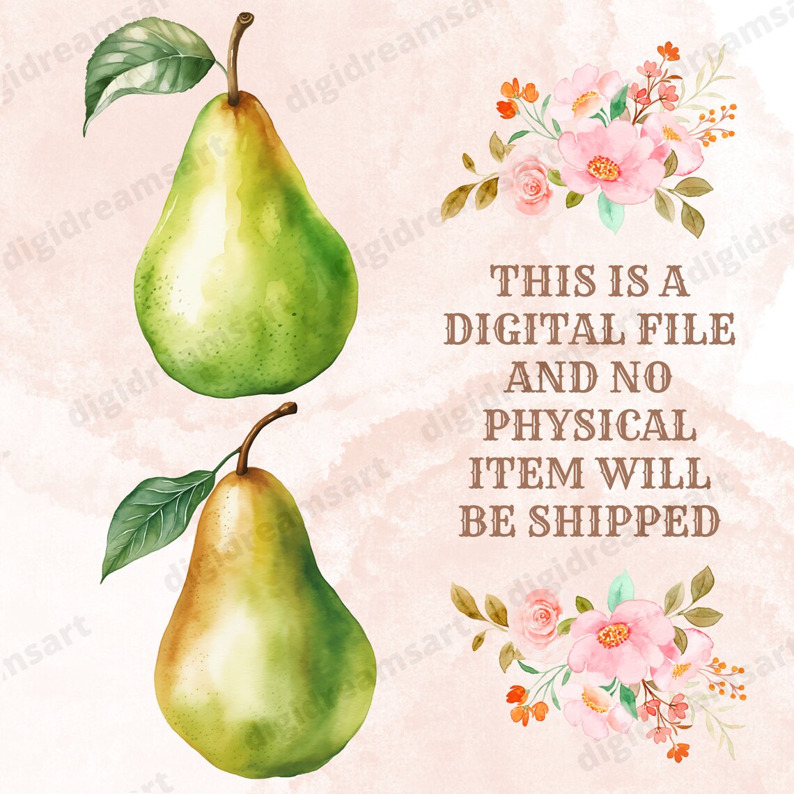 Pear Clipart Bundle Transparent PNG Collection Watercolor - Etsy
