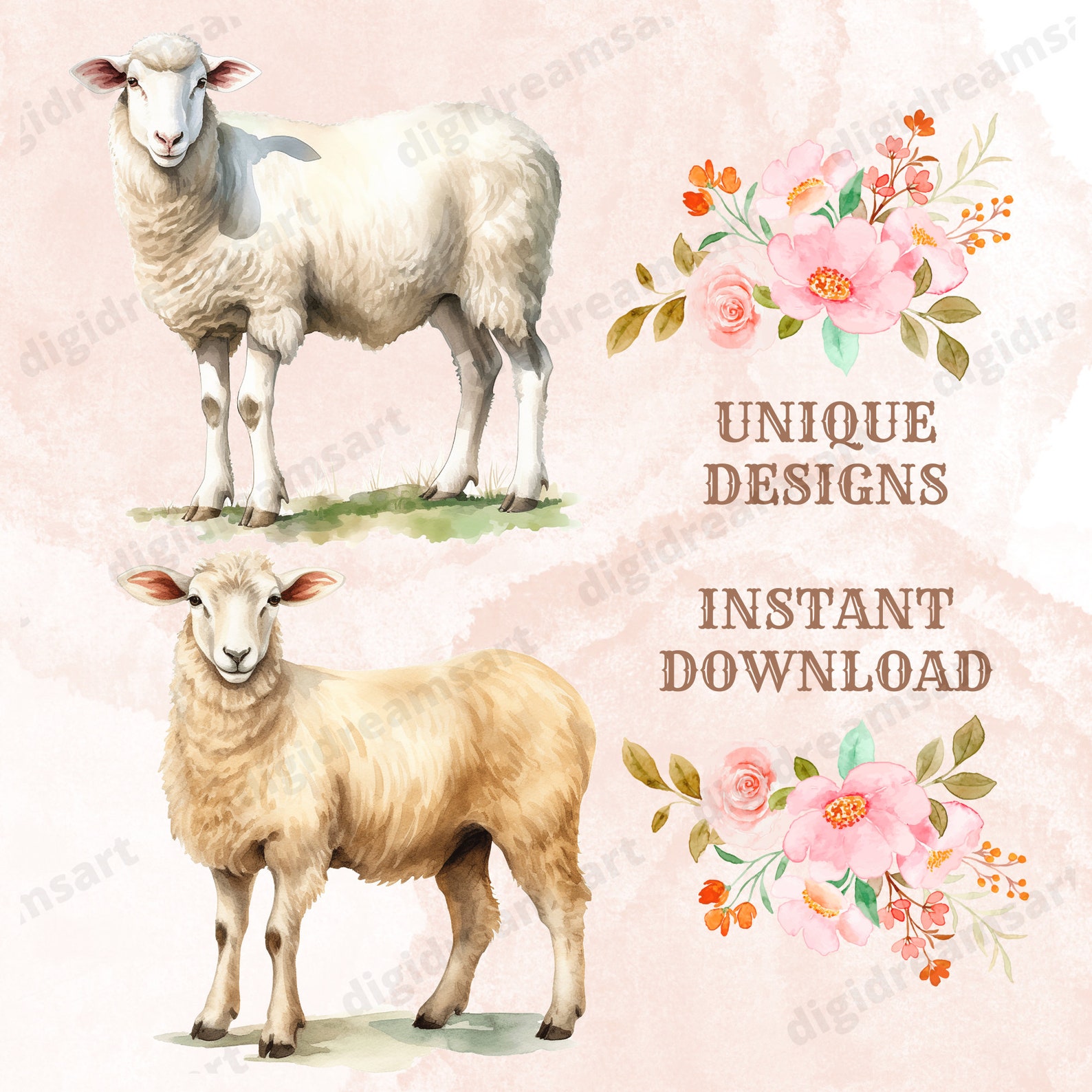 Farm Sheep Clipart Bundle Transparent PNG Collection, Digital Prints ...