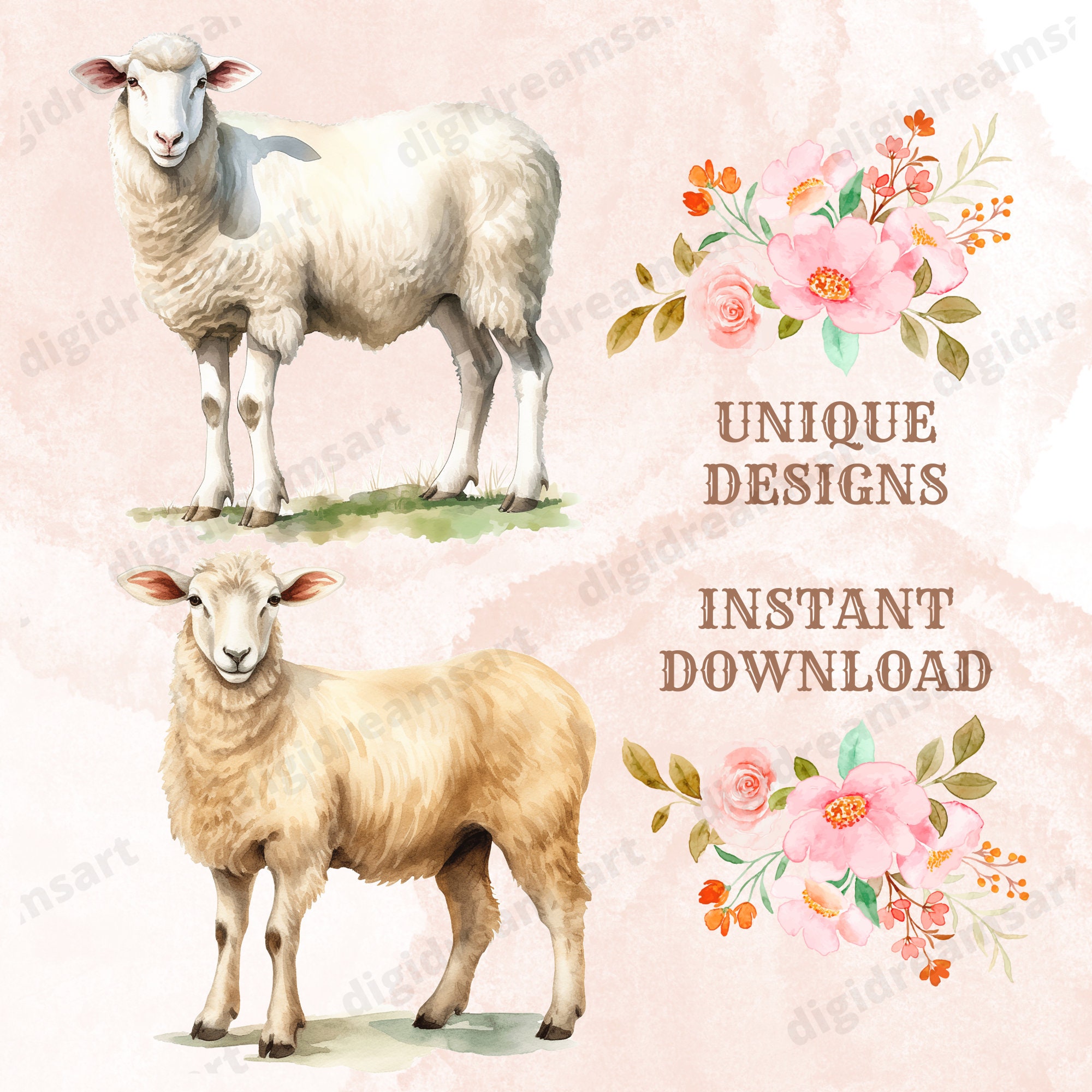 Farm Sheep Clipart Bundle Transparent PNG Collection, Digital Prints ...