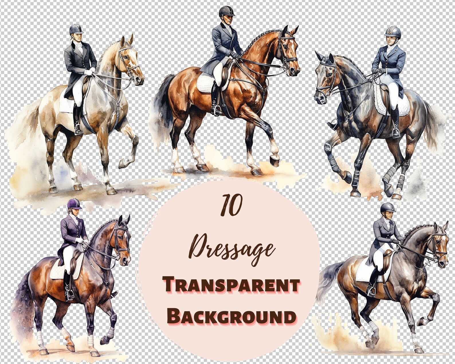Dressage Horse Clipart Bundle, Transparent PNG Collection (digital ...