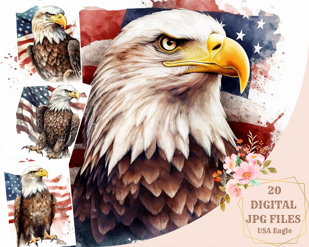 USA Eagle Design Bundle: Cute Clipart, Digital Prints, and T-shirt ...