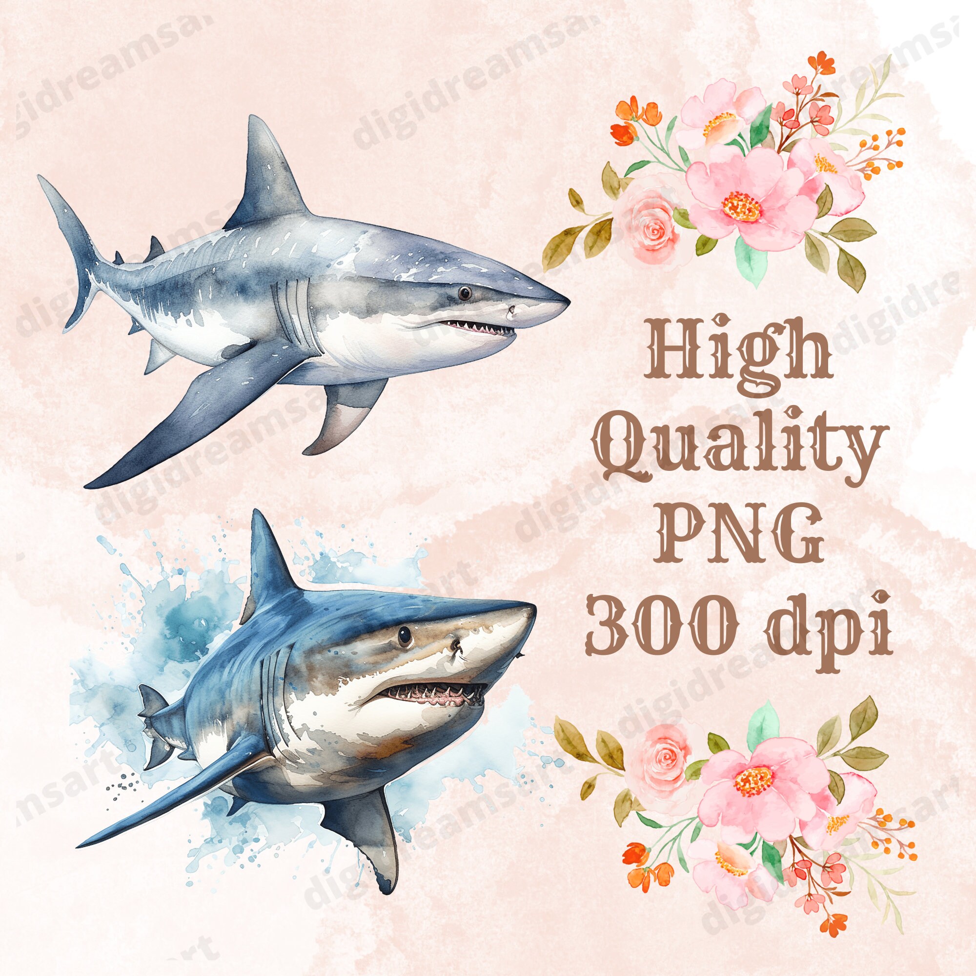 Shark, Clipart Bundle Transparent PNG Collection, Digital Prints ...