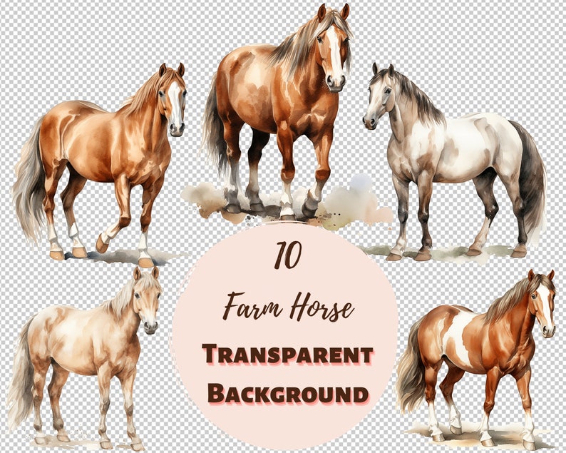 Farm Horse Clipart Bundle Transparent PNG Collection, Digital Prints ...