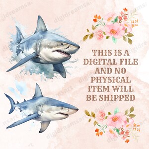 Shark, Clipart Bundle Transparent PNG Collection, Digital Prints ...