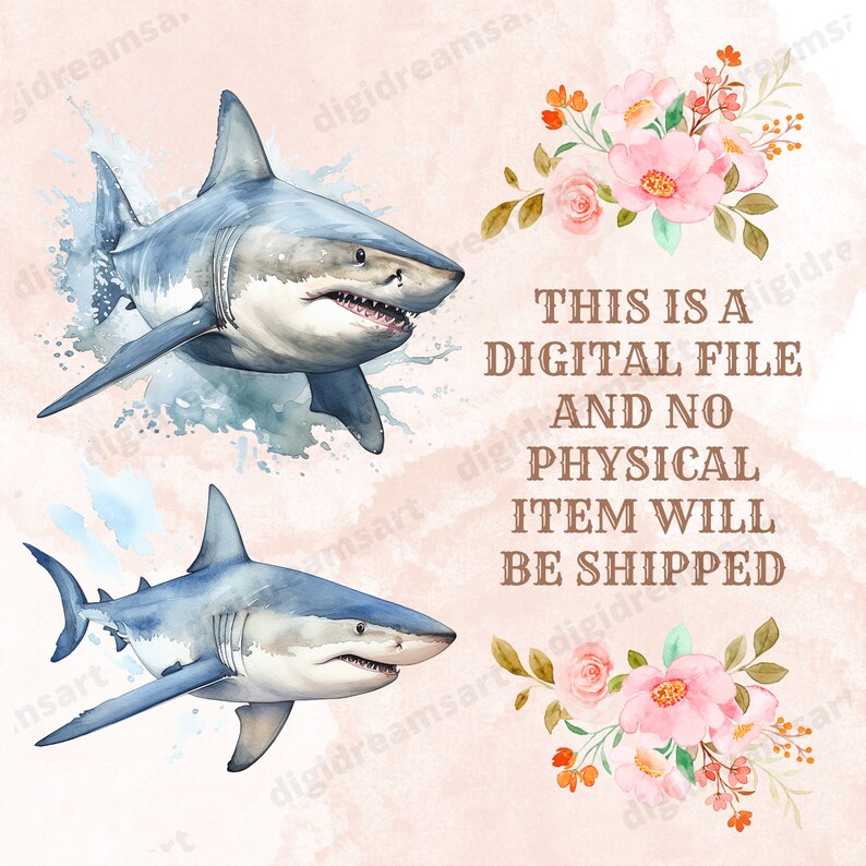 Shark, Clipart Bundle Transparent PNG Collection, Digital Prints ...