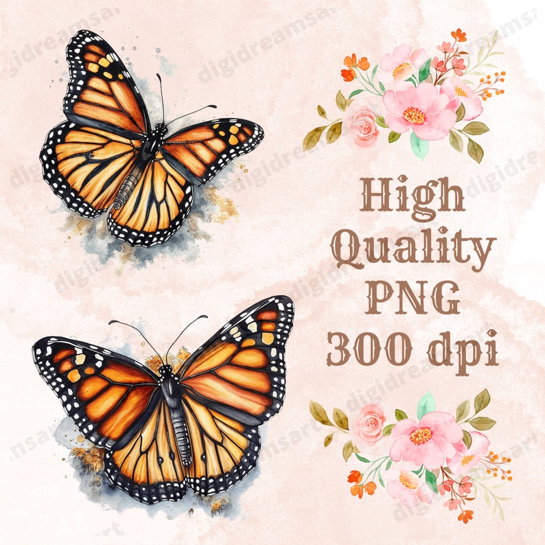 Monarch Butterfly Clipart Bundle Transparent PNG Collection - Etsy