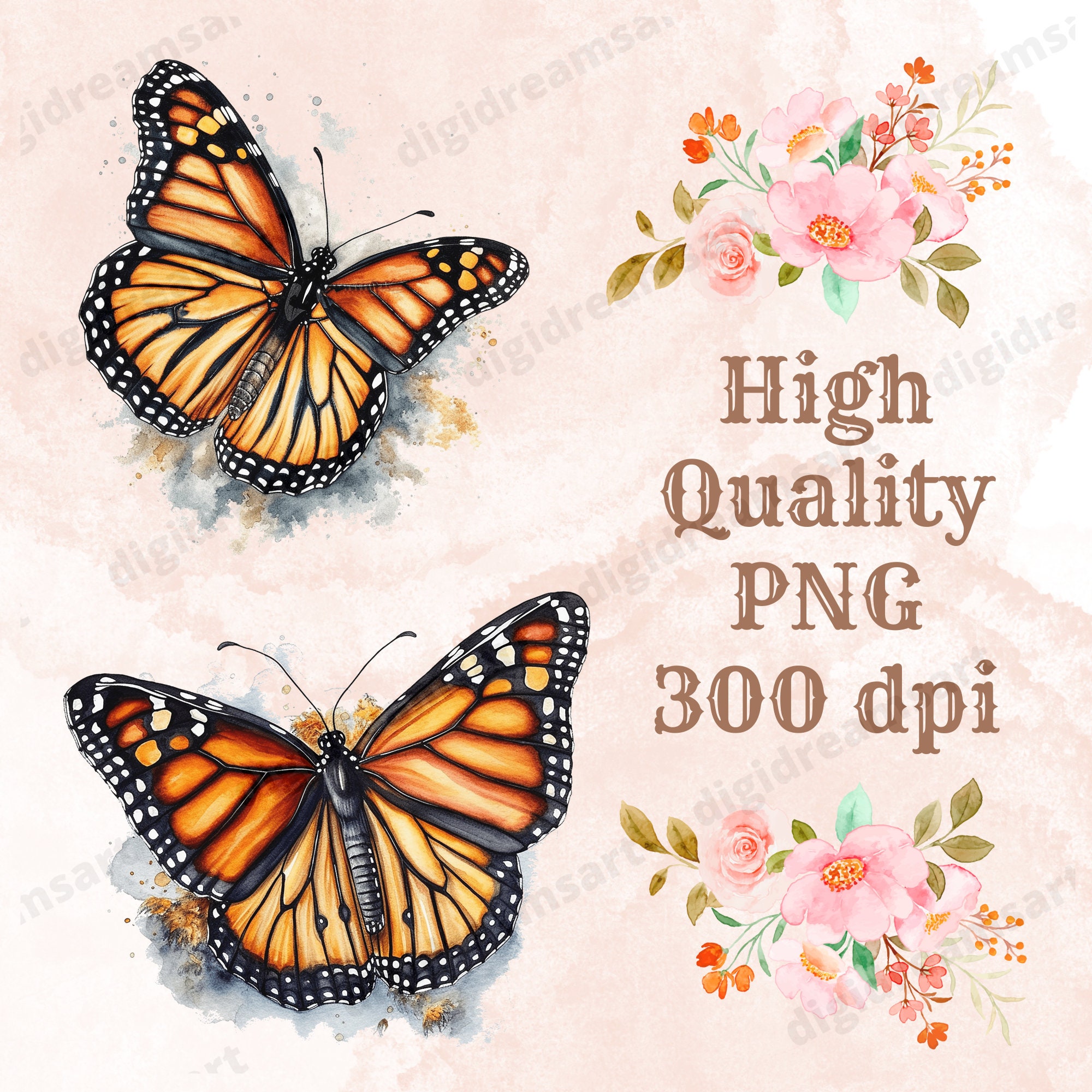 Monarch Butterfly Clipart Bundle Transparent PNG Collection - Etsy