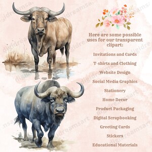 Water Buffalo Clipart Bundle - Transparent PNG Collection, Digital ...