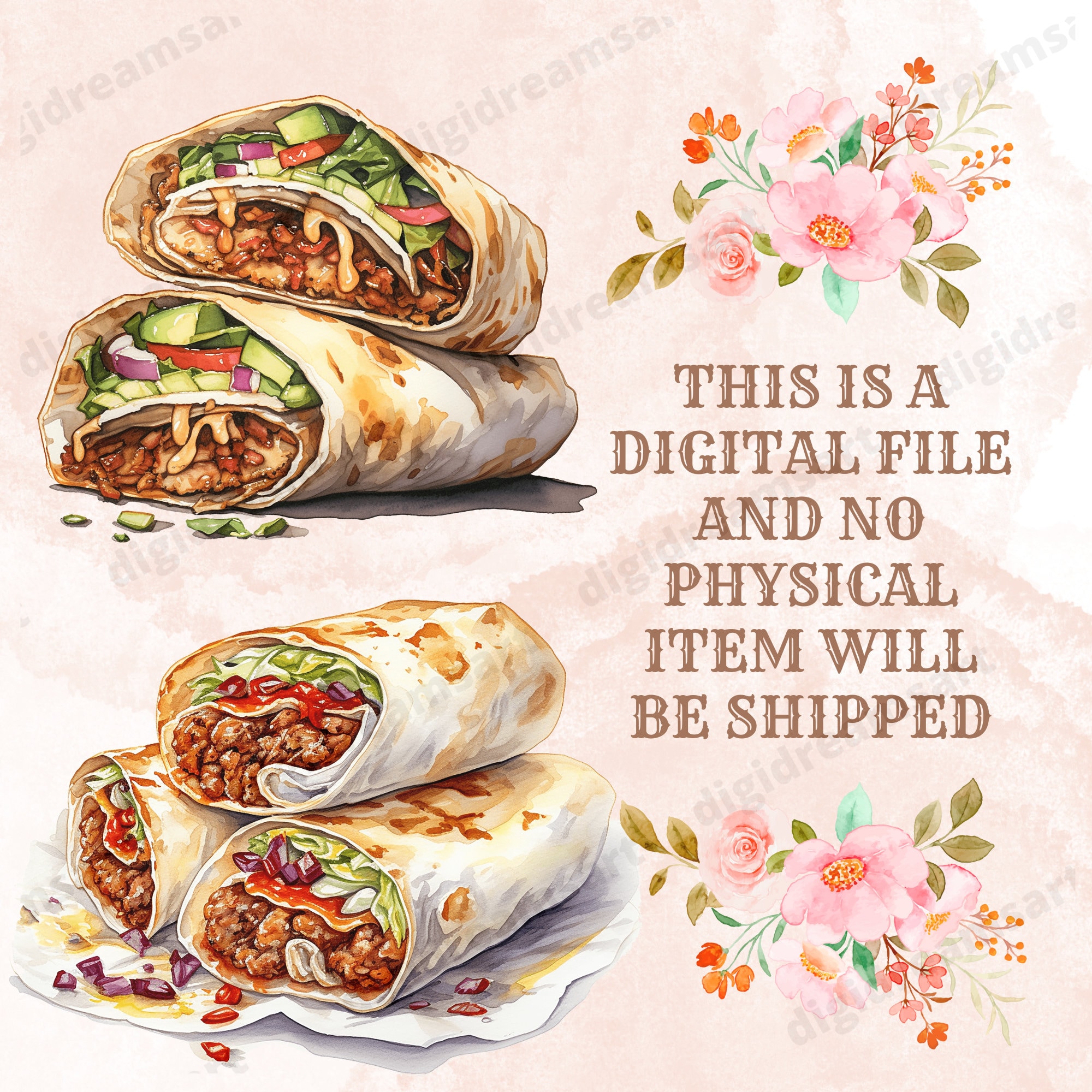 Burritos Design Bundle - PNG Transparent Clipart Collection, Watercolor ...