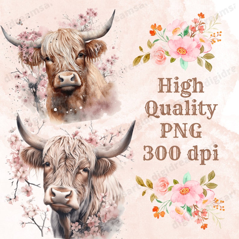 Highland Cow in Sakura Flowers Design Bundle PNG Transparent Clipart ...