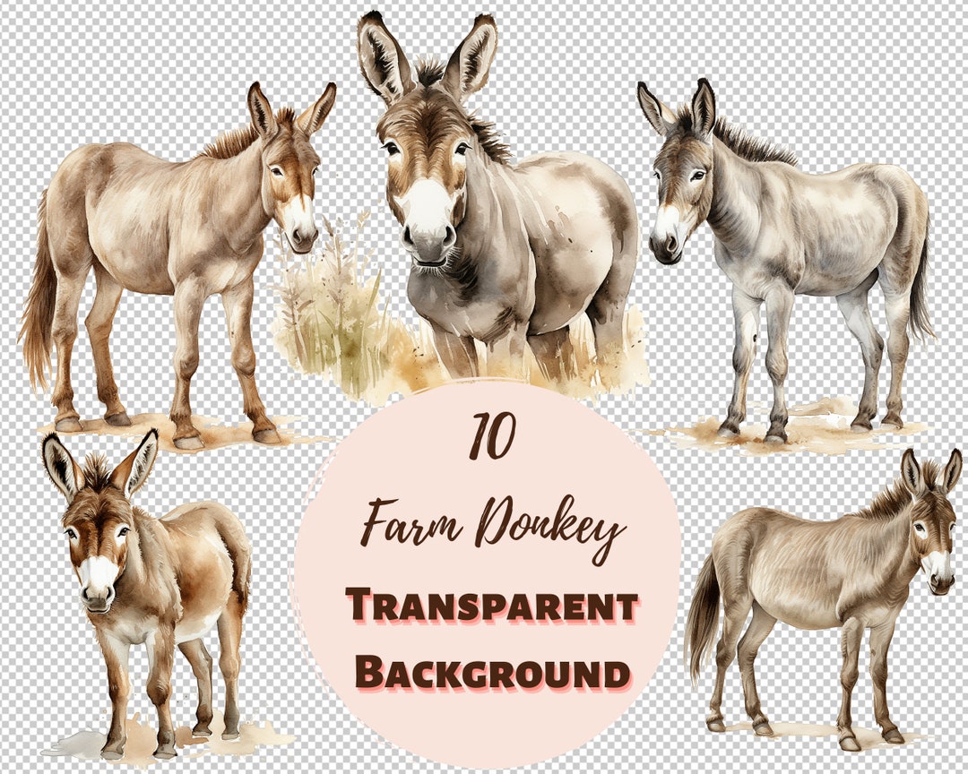Farm Donkey Clipart Bundle - Transparent PNG Collection, Digital Prints ...