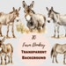 Farm Donkey Clipart Bundle Transparent PNG Collection, Digital Prints ...