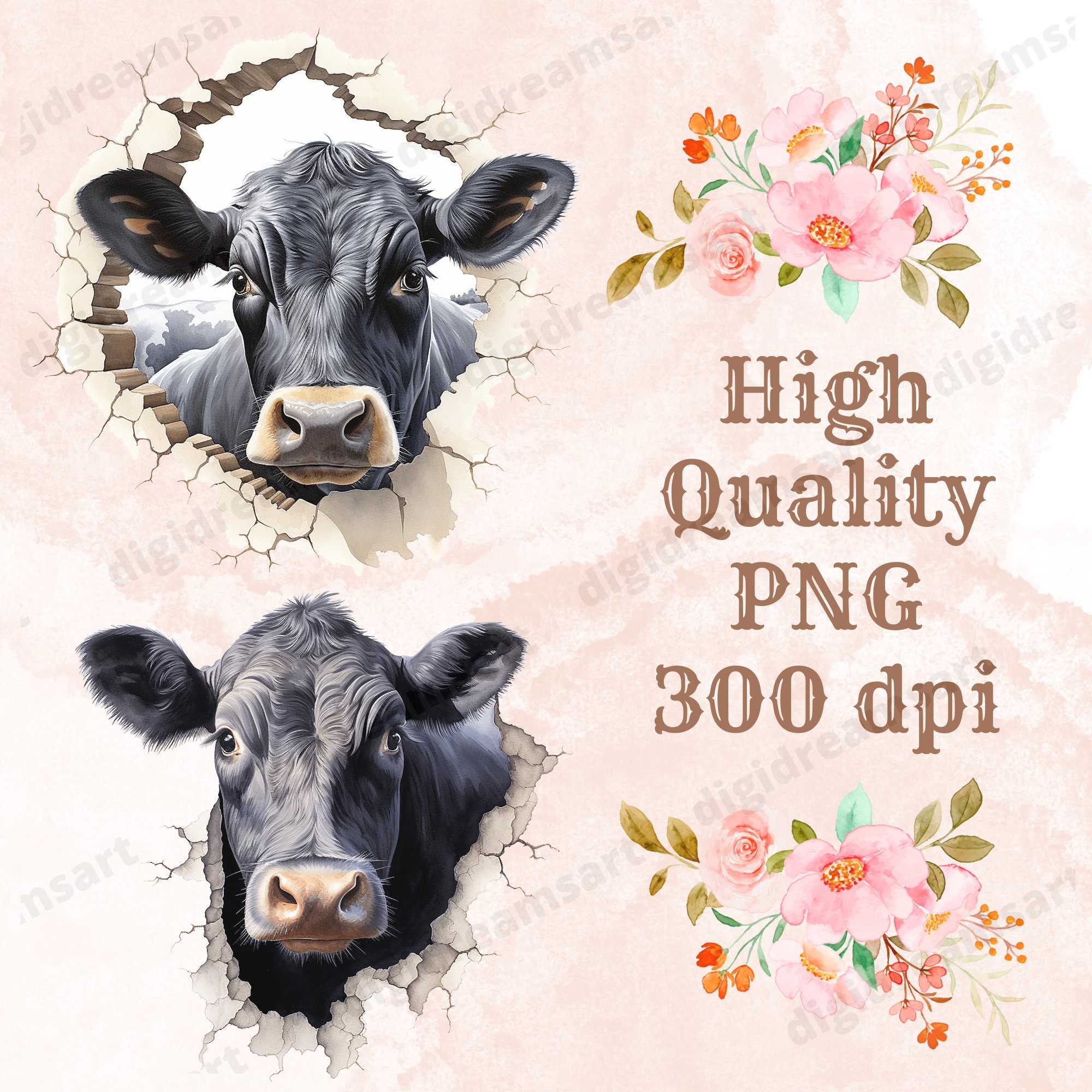 3D Hole in a Wall Black Angus Design Bundle - PNG Transparent Clipart ...