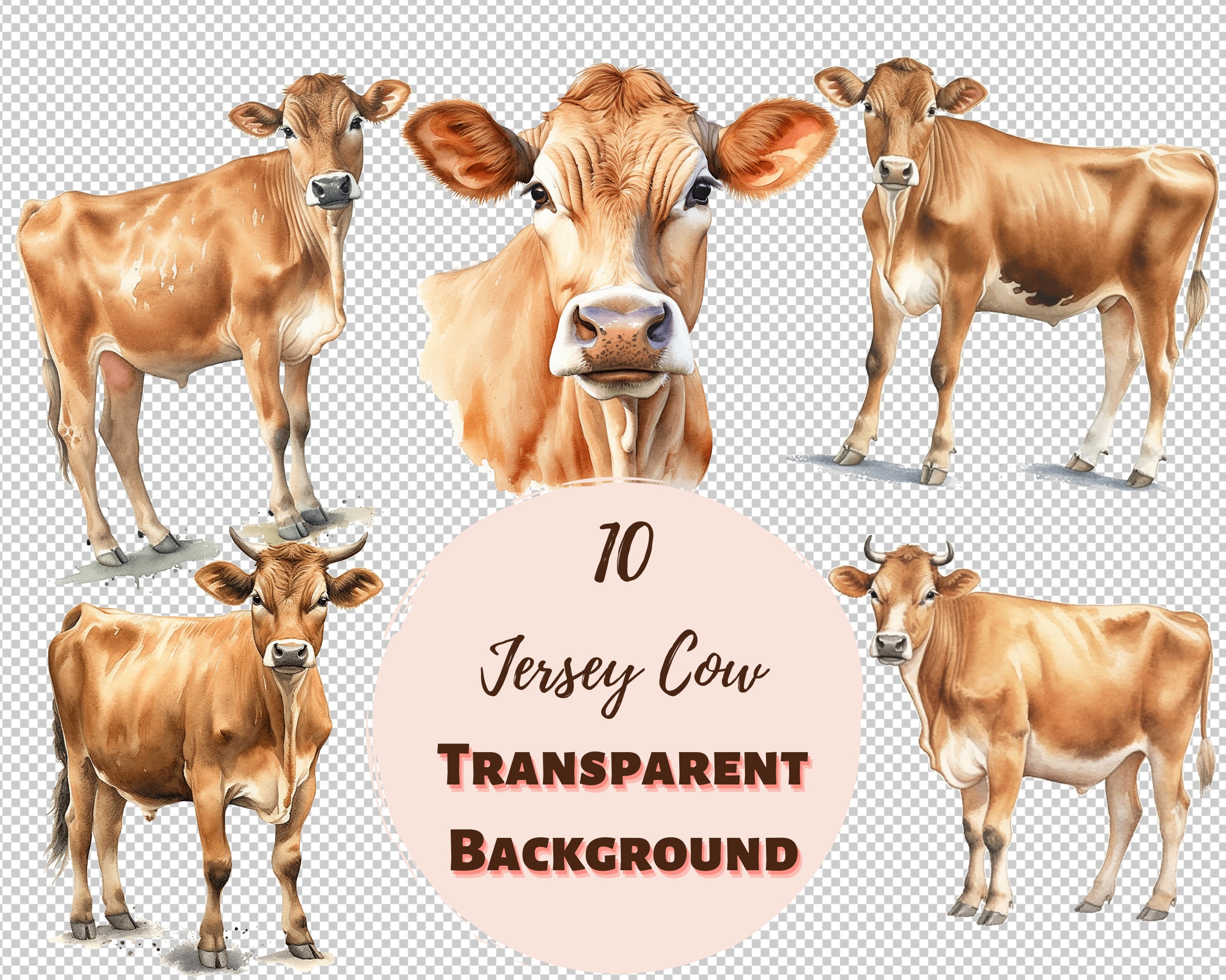 Jersey Cow Clipart Bundle Transparent PNG Collection - Etsy